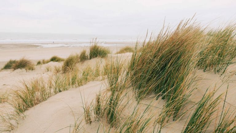 De Haan : notre guide pour un week-end sur la côte belge