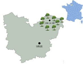 VISITE DE LYONS-LA FORÊT | QUE VOIR QUE FAIRE
