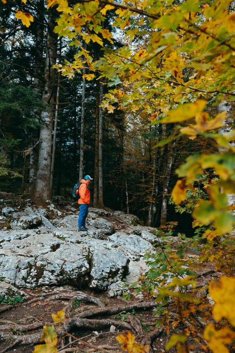 Randonnée CASCADES du HERISSON