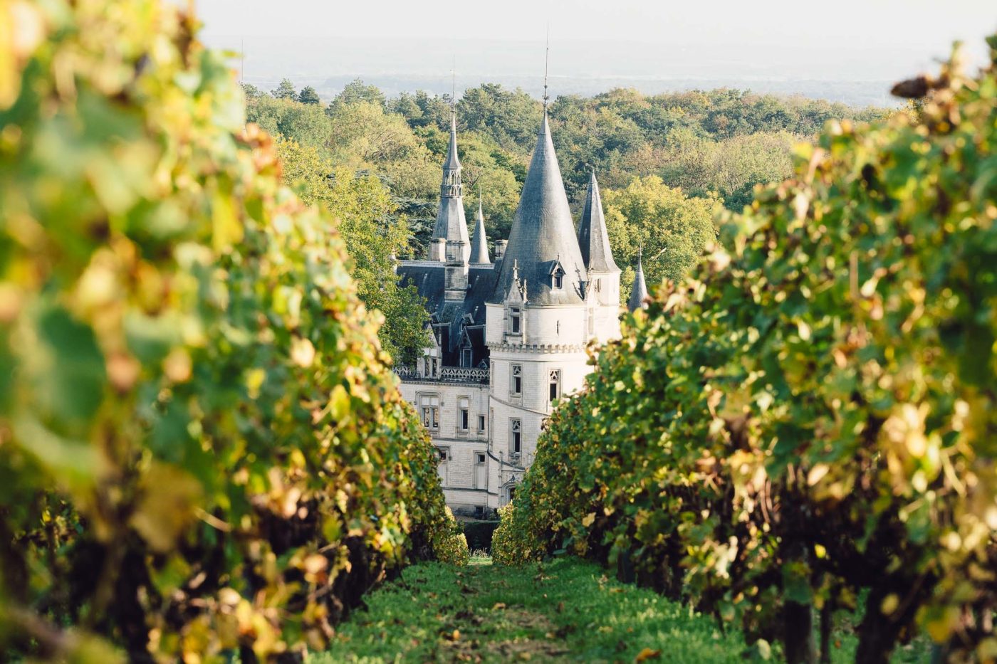 TOP 5 des caves de Champagne à visiter