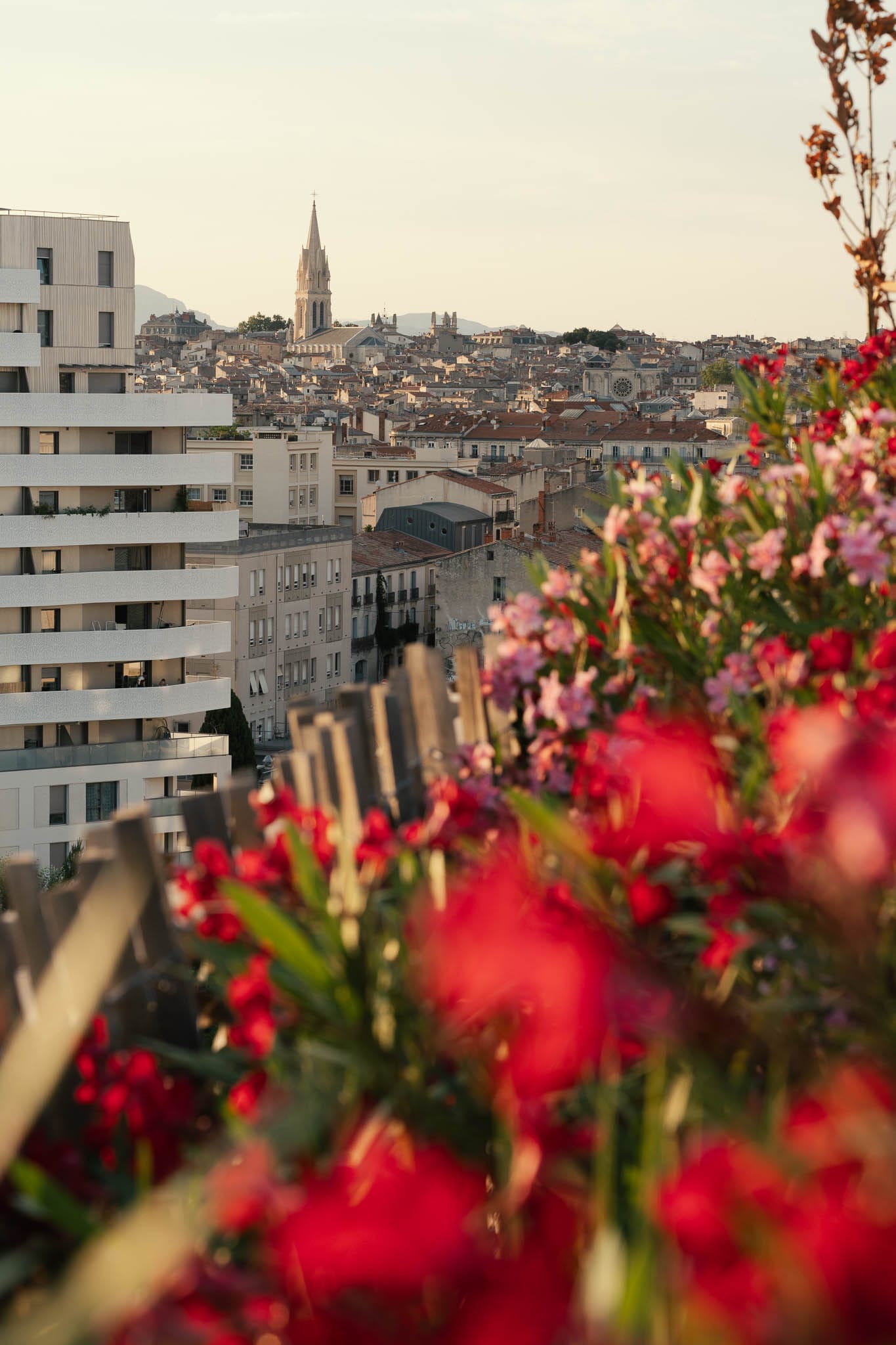 2 JOURS À MONTPELLIER | QUE VOIR ET QUE FAIRE
